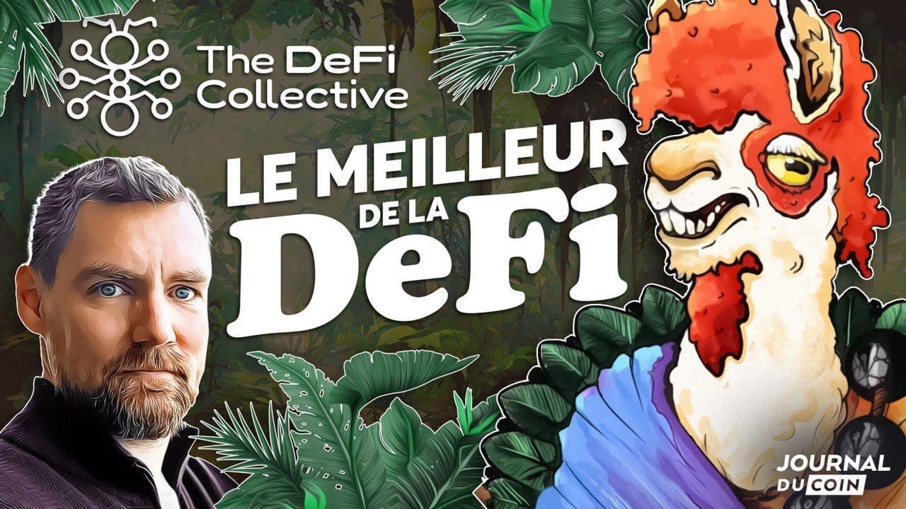 Token Brice : 1ᵉʳ rapport de The DeFi Collective, le meilleur de la ...